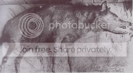 Shunka Warakin - Cryptozoology, Myths and Legends - Unexplained ...