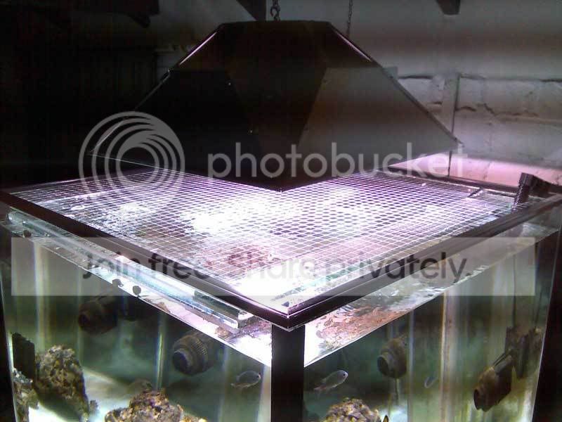 DIY netting cover for top of tank | The Reef Tank