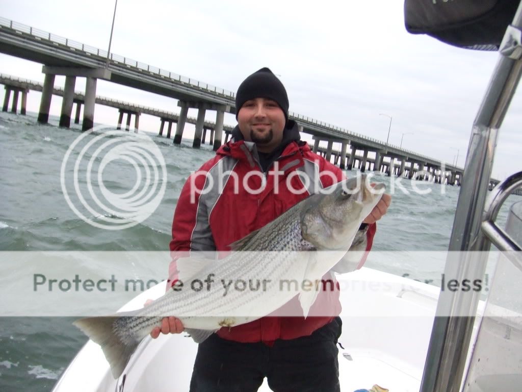 Cbbt 12/5 & 12/6 | Tidal Fish Forum