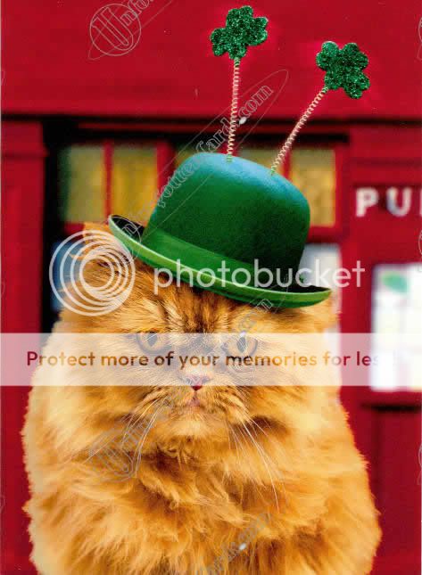 Paddy Waddy… | The Lucius Street Revue