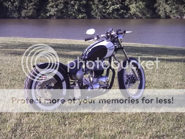 new triumph please | Triumph Rat Motorcycle Forums