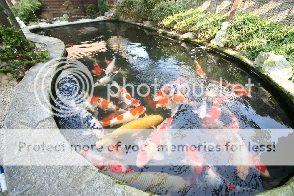 Bakki Showers in the UK